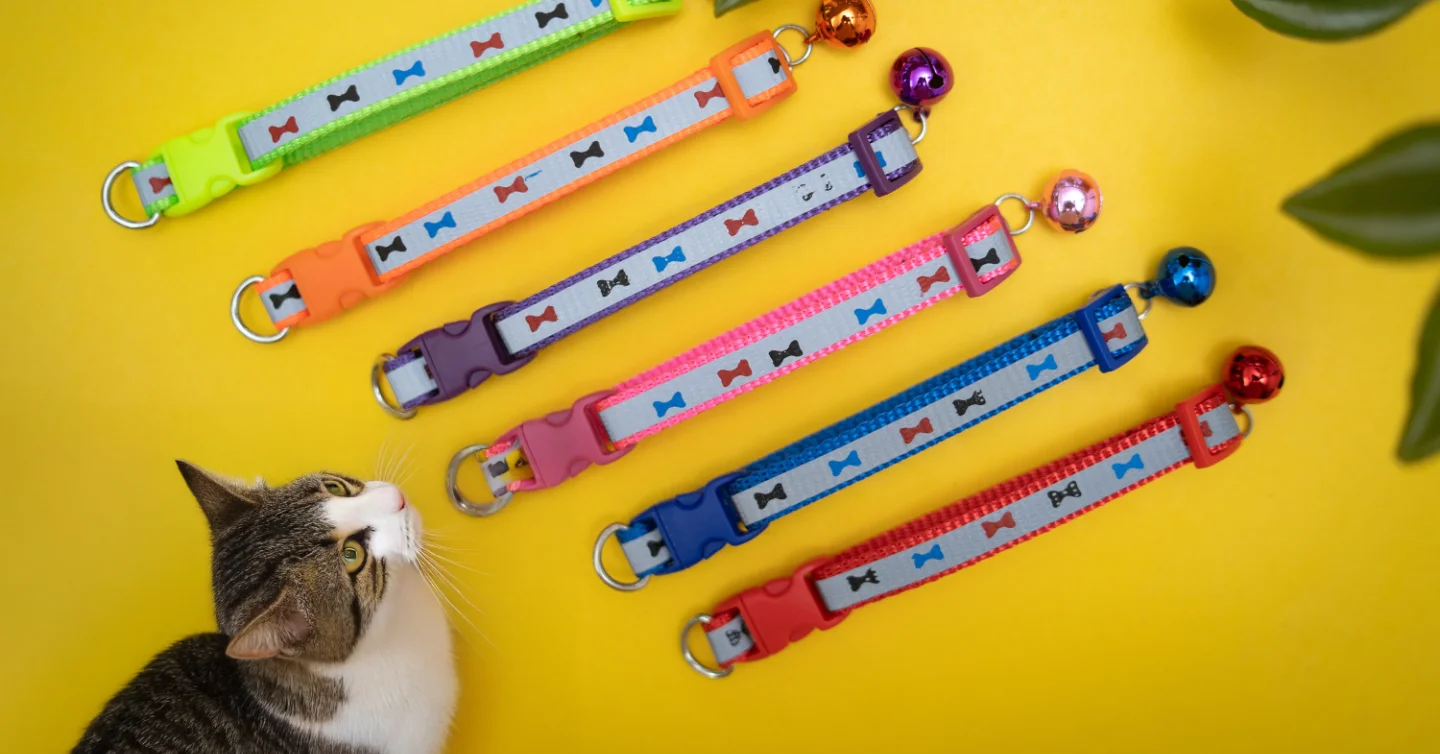Colorful Reflective Belt for Cats & Puppies with Bell– Adjustable Pet ...