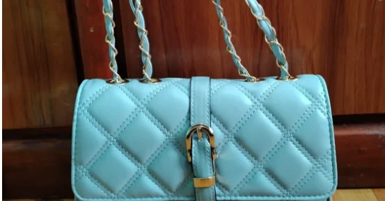 Light blue color bag
