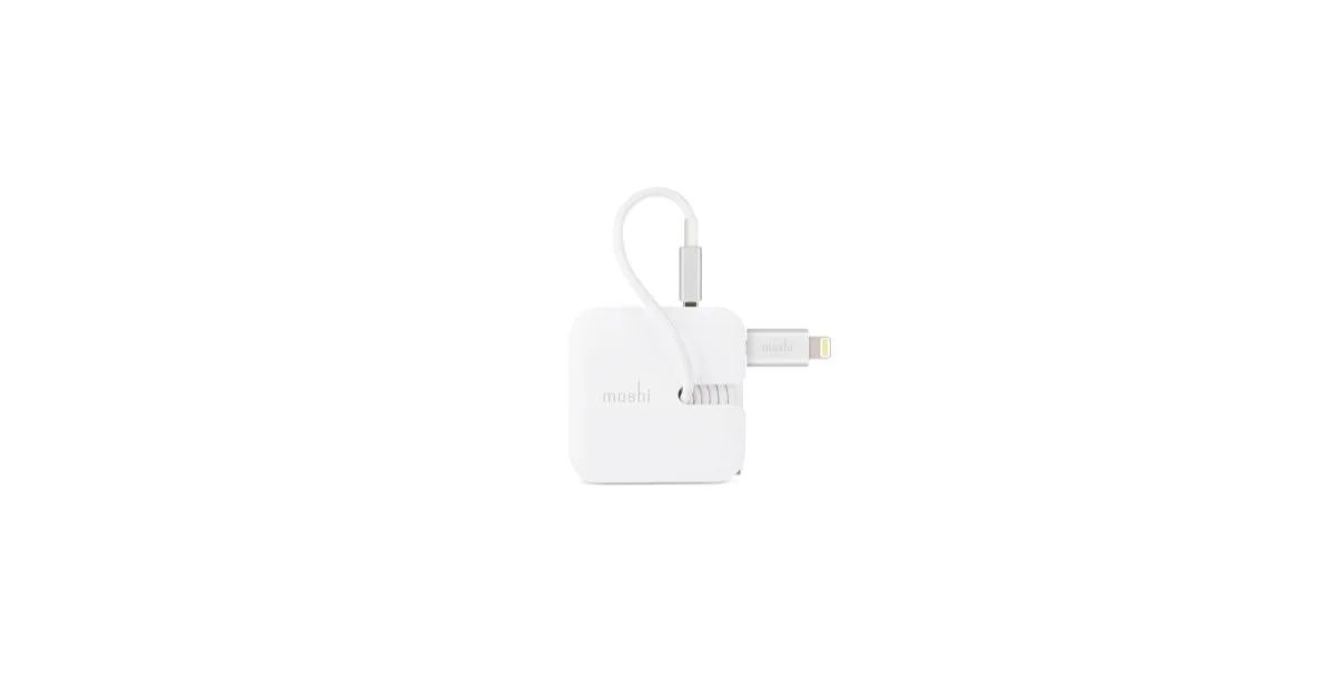 Moshi Rewind 2 USB Wall Charger (17W)