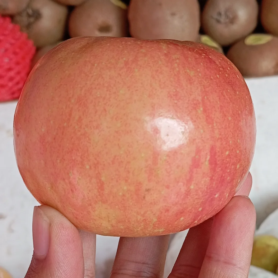 Medium Fuji Apple (price per kg)